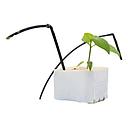 Natural control Kekkila slab - 1X-0.20X12 | Hortipro S.R.L